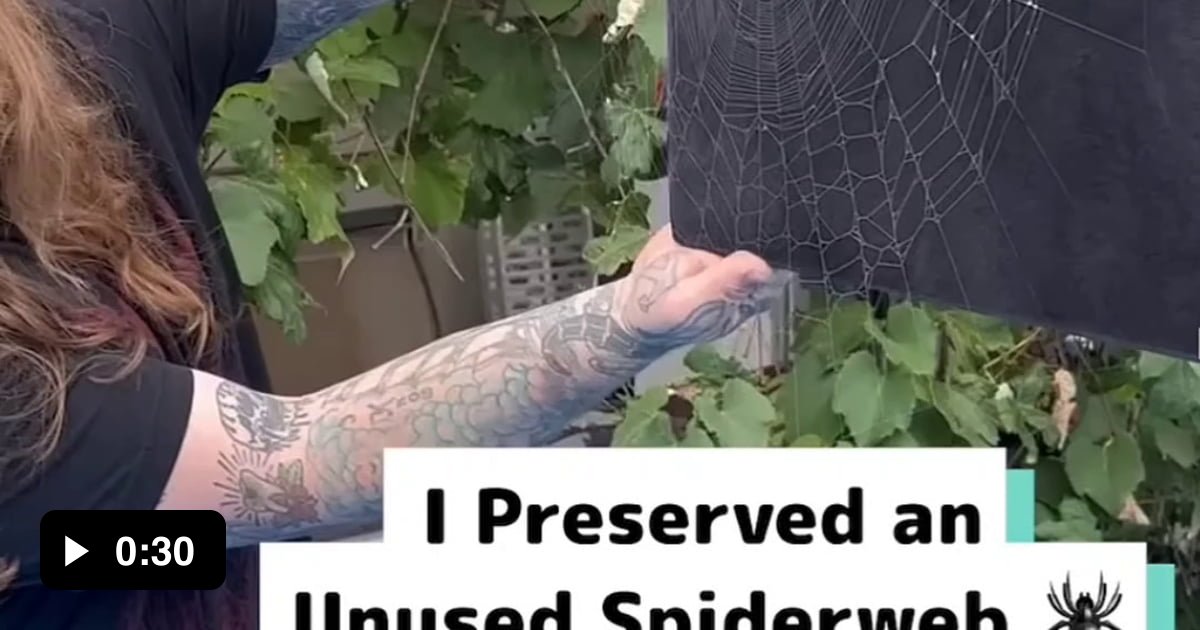 Spider comes back: „You can't have shit livin in Detroit!" - 9GAG