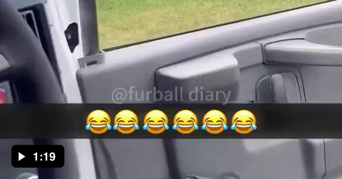 Expecting a delivery? Let me keep my animals unrestrained! - 9GAG