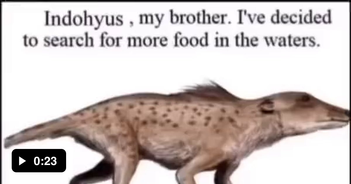 You will regret this Pakicetus - 9GAG