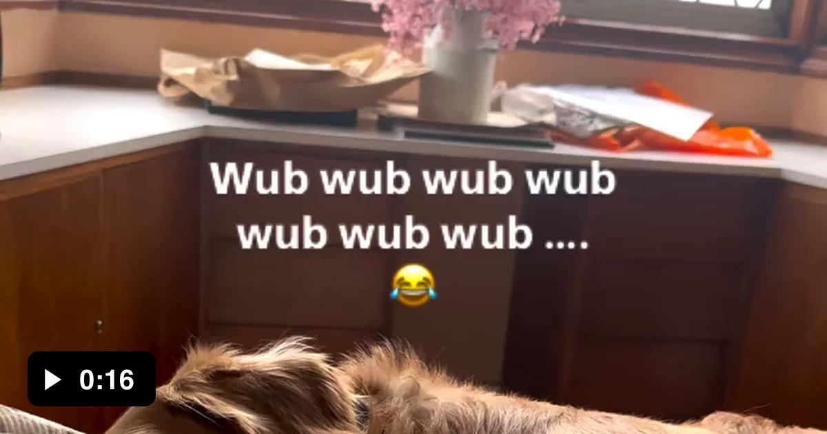 Dog snoring as if he was in a cartoon - 9GAG