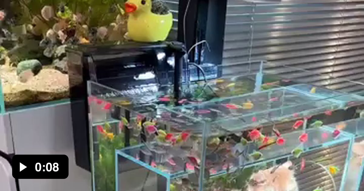 Omg that is so cool - 9GAG