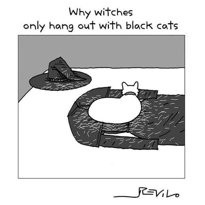 Witches and black cats - 9GAG