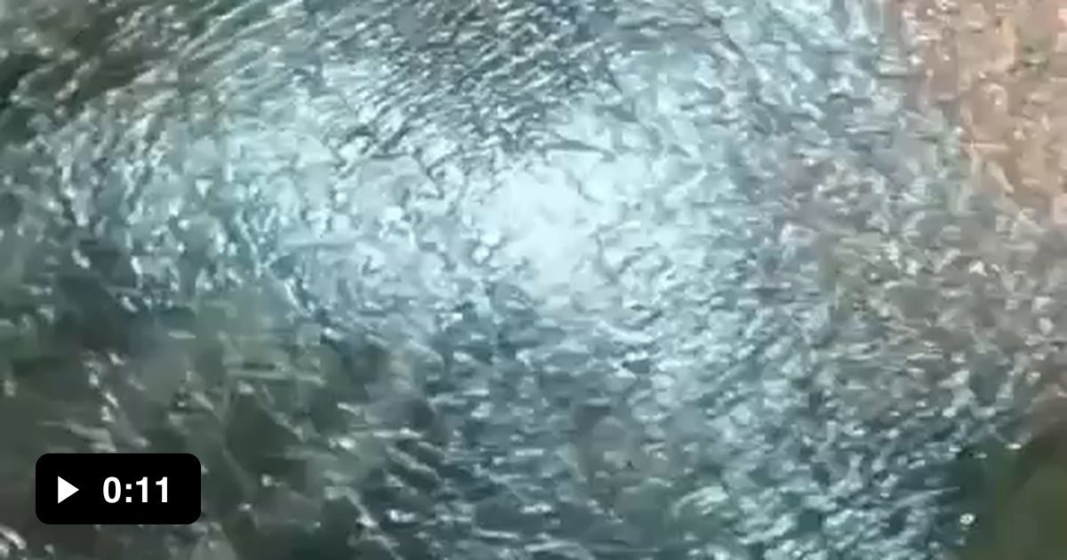 Poke it with a stick! - 9GAG