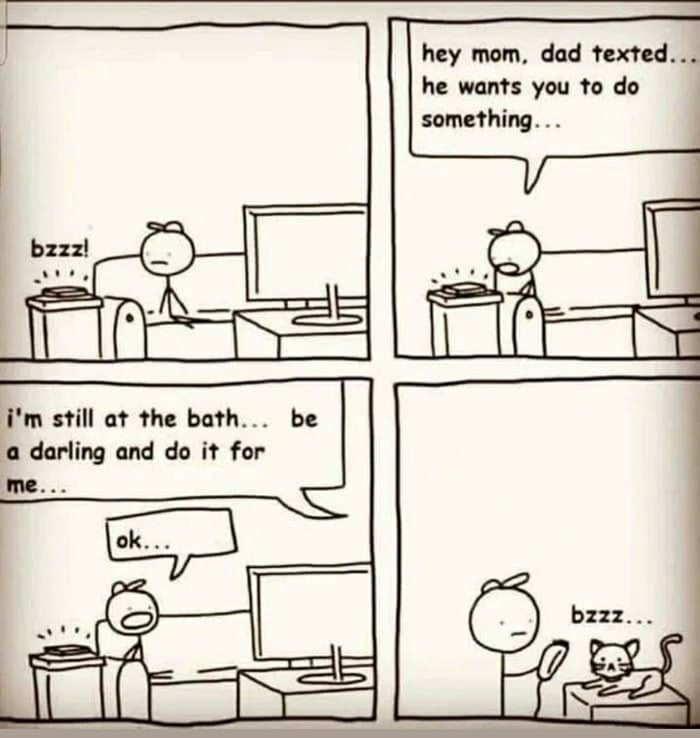 That poor pussy, hope it doesn't get smashed too - 9GAG