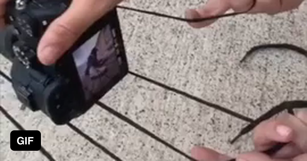 Getting the perfect shot. - 9GAG