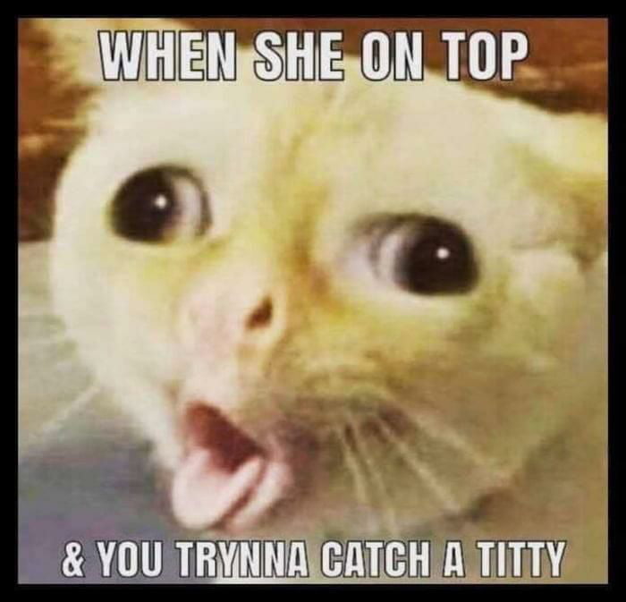 They hard to catch - 9GAG