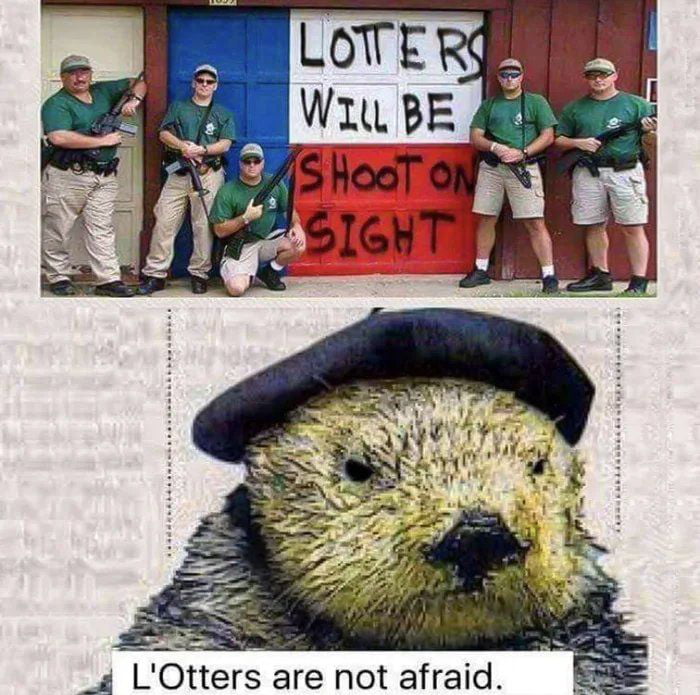 L'Otter gang - 9GAG