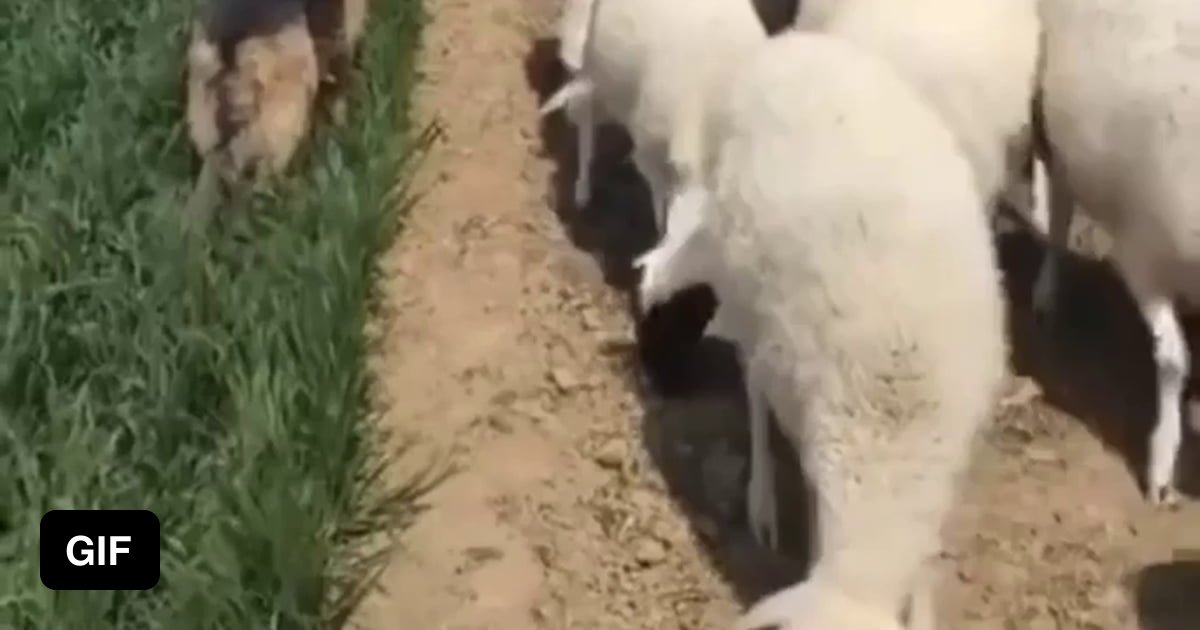 Back off buddy! - 9GAG