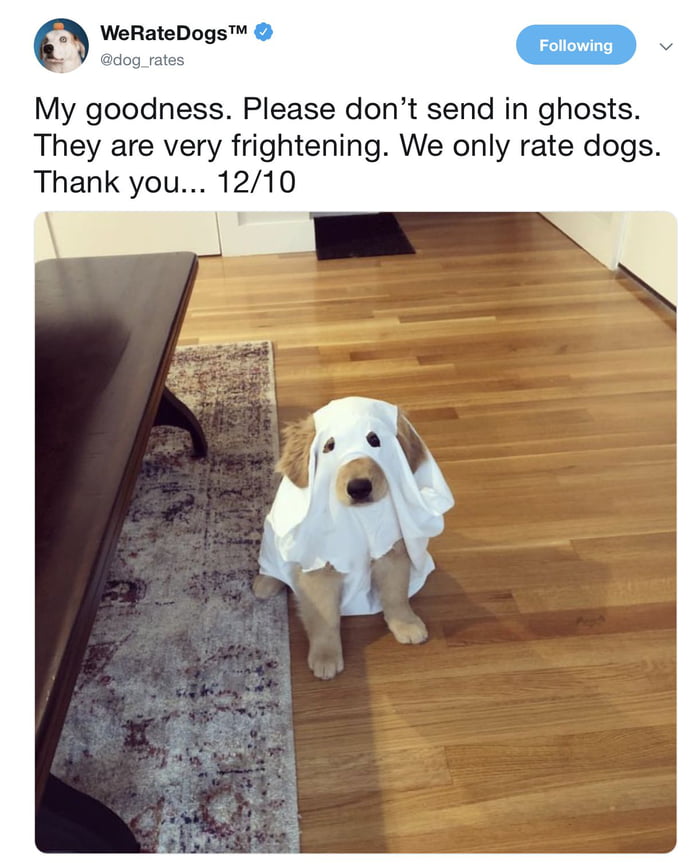 Scary doggo, better hide - 9GAG