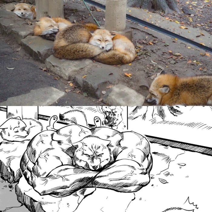 Buff fox - 9GAG