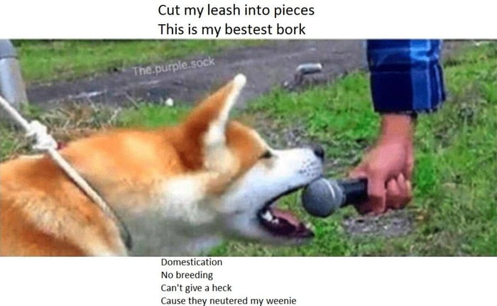 Actually lolled. - 9GAG