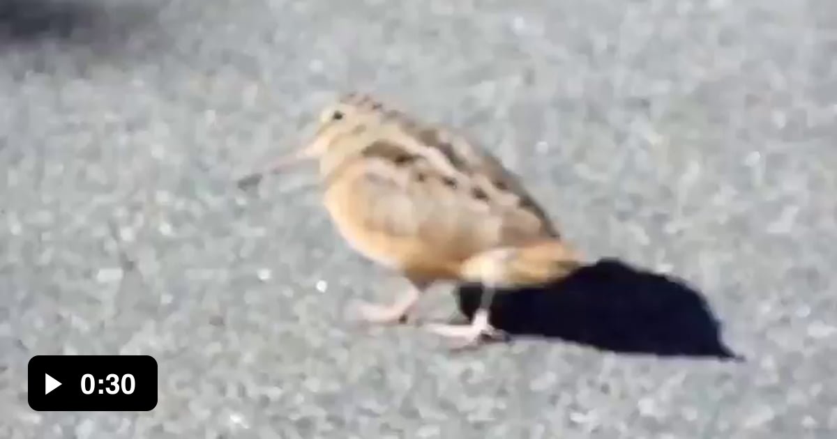 Awkward dancing man in the club - 9GAG