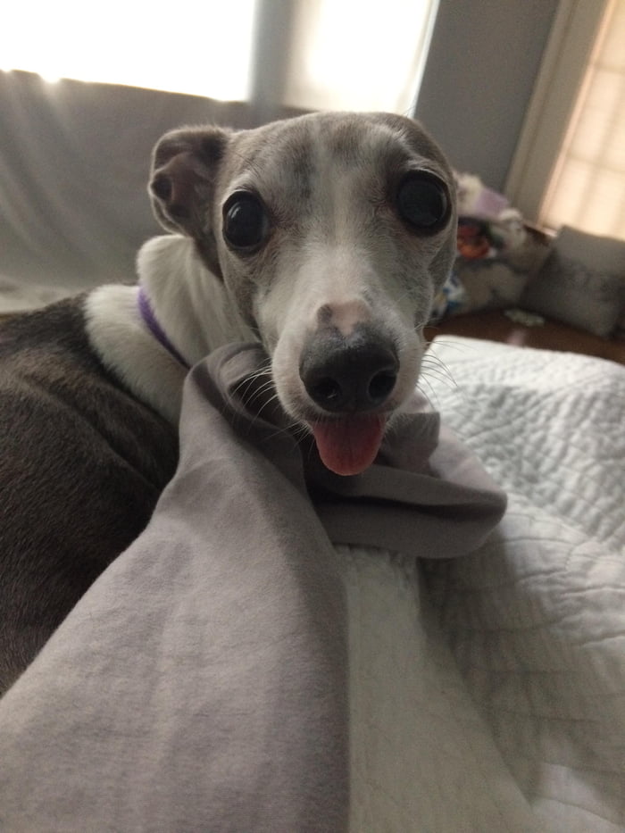 Wakin up derpy - 9GAG