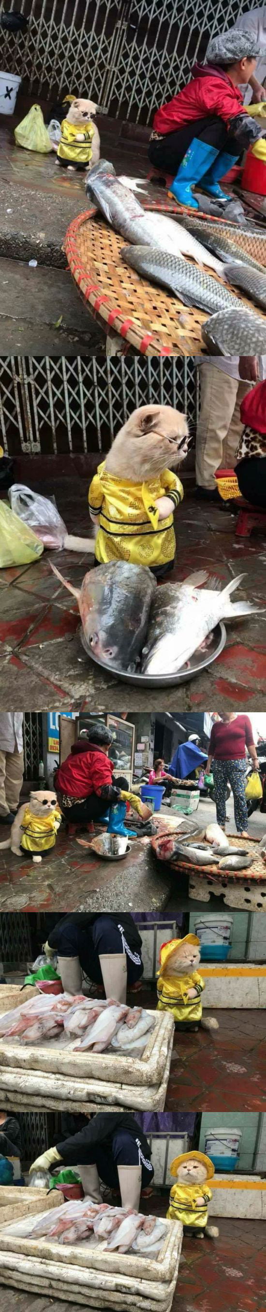 Fish Seller - 9GAG