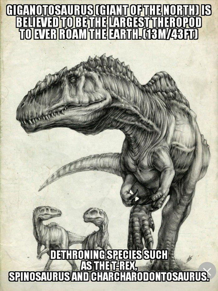 He has not the best bite force, however. - 9GAG