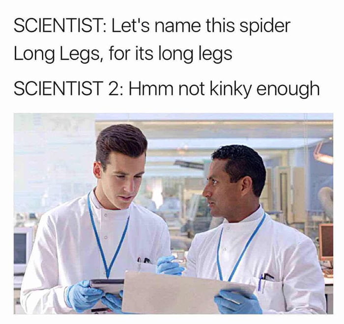 Ah ok... Kinky long legs - 9GAG