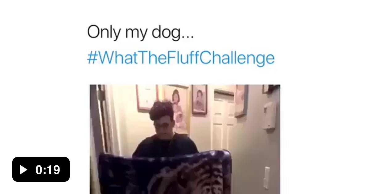 What the fluff! - 9GAG