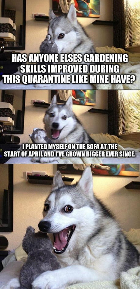 Planting seeds for the future - 9GAG