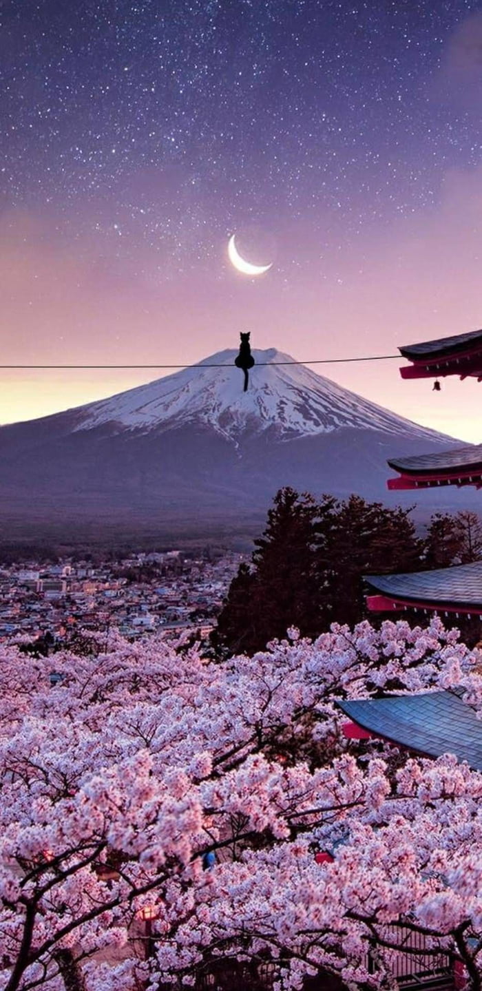 Starry sky | Japan - 9GAG