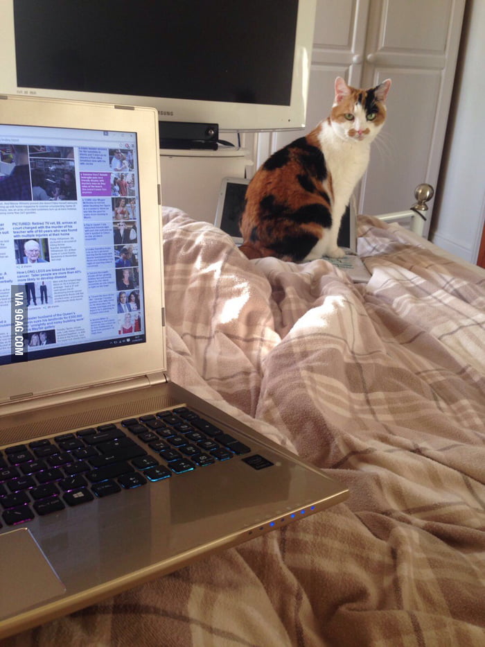The look of pure hatred - 9GAG