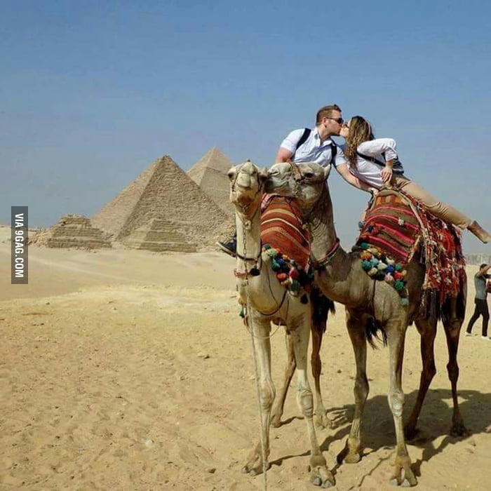 The camel though - 9GAG