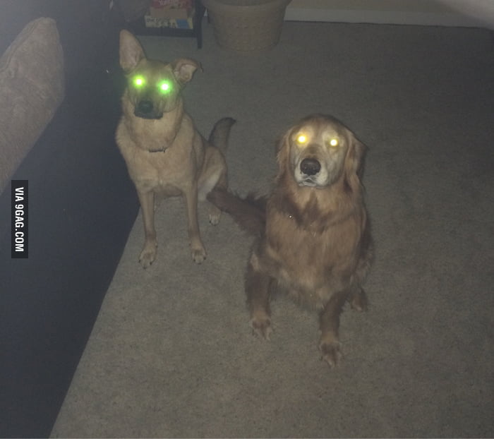 The one on the left is fully charged. - 9GAG