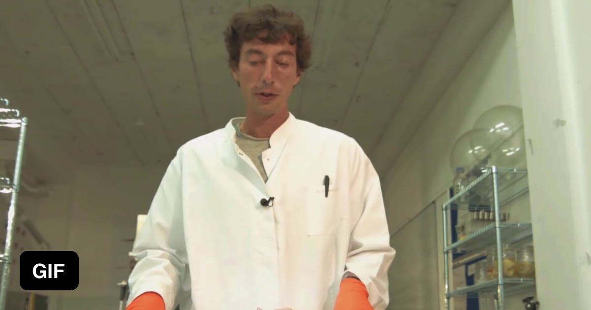 Oscar, the modular body. - 9GAG