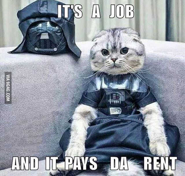 Happy Friday peeps! - 9GAG