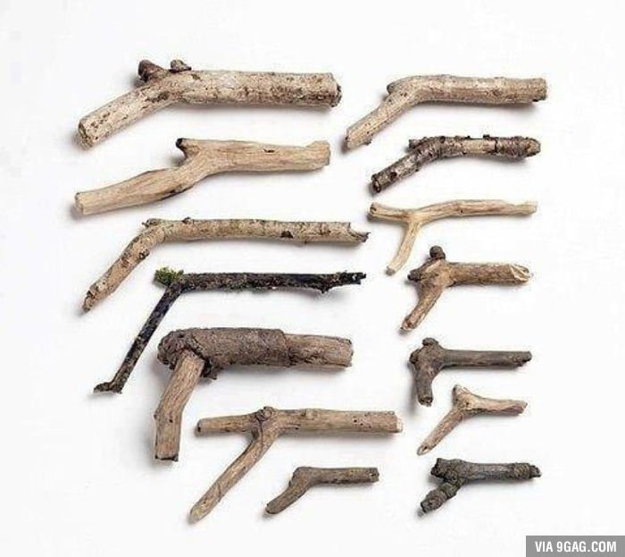 Not everyone remembers looking for the right sized stick for the ...