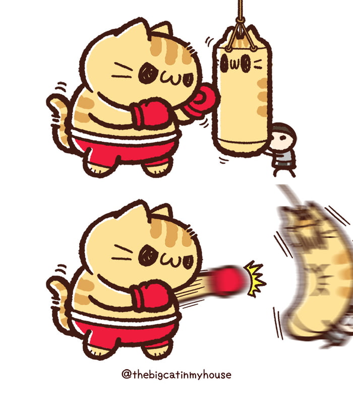 一拳巨喵 One-Punch Meow - 9GAG