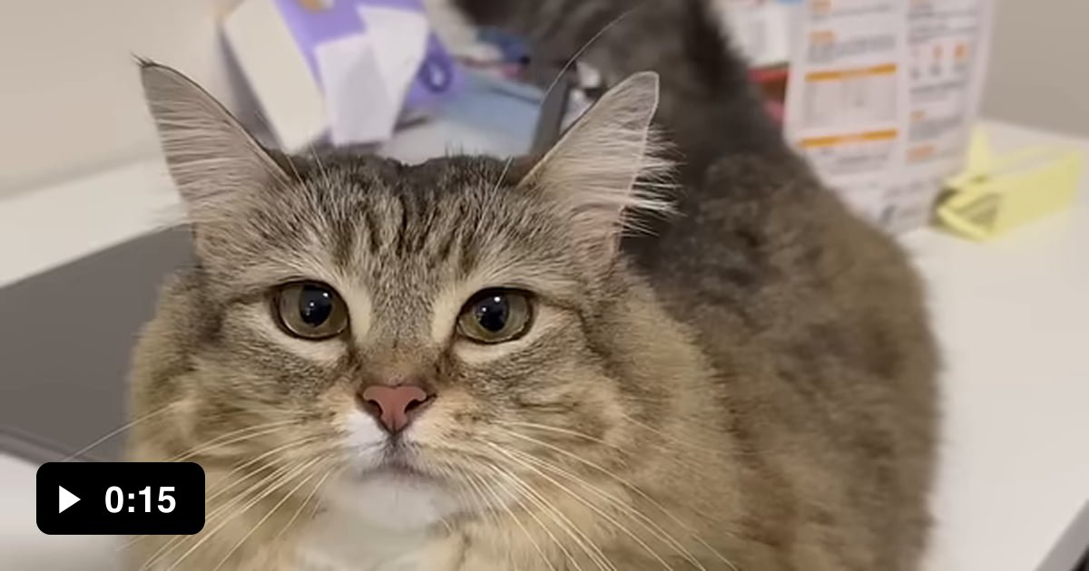 I think that's a perfect car - 9GAG