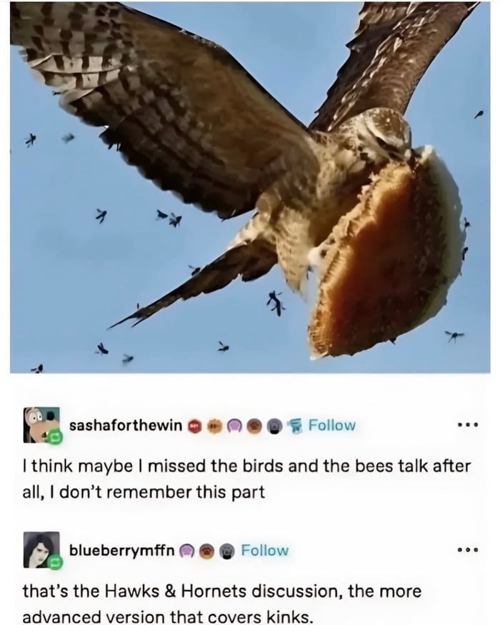 When 'birds and bees' gets a surprise upgrade - 9GAG