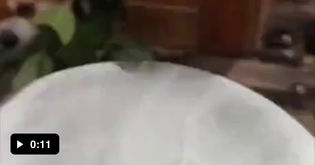 How to cool down a Red Panda 101. - 9GAG