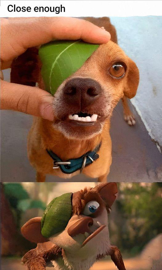 Rule Number 1: Always listen to Buck! - 9GAG