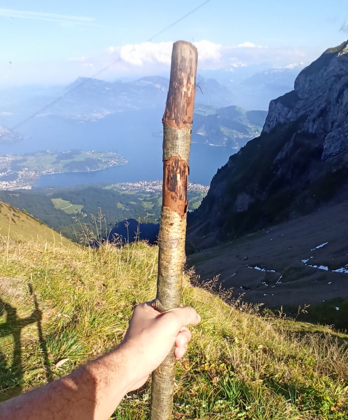 Am I to late to share my stick. Just got it today. - 9GAG