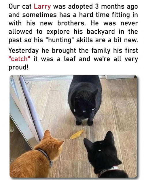 His first catch - 9GAG