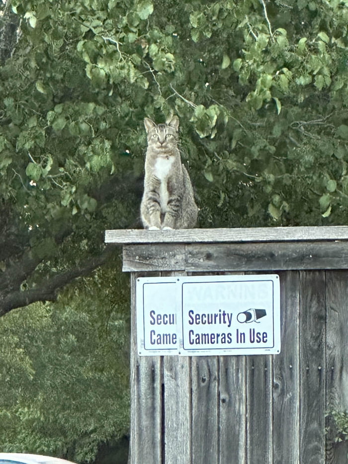 Security Cameras are evolving now - 9GAG