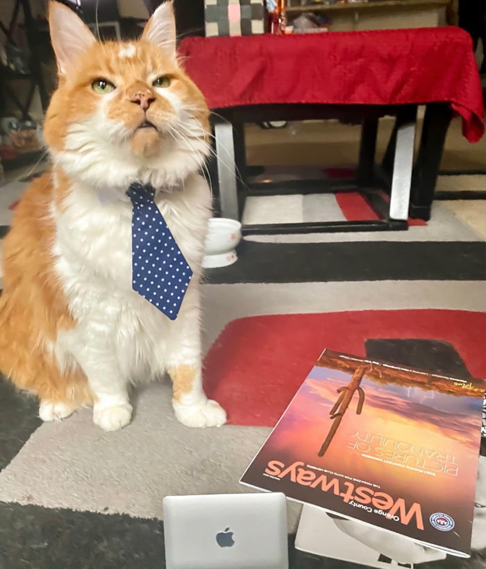 He is the manager - 9GAG