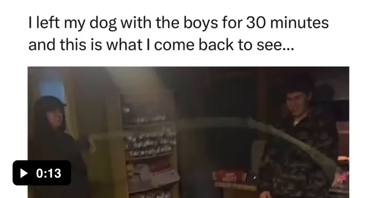 Bro 🐶 just understood the Assignment - 9GAG