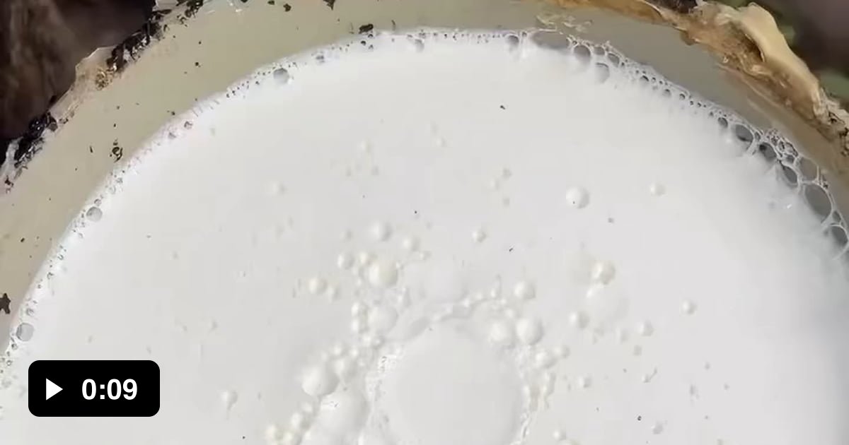 Fluffy and juicy - 9GAG