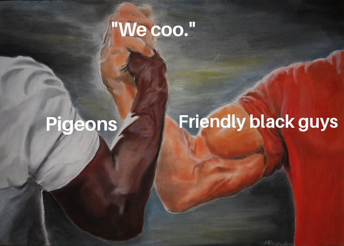 We coo man we coo - 9GAG