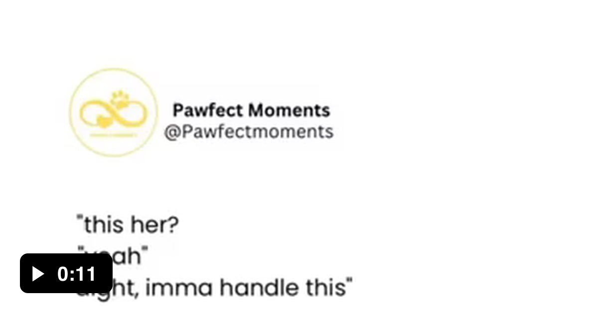 Looks like someone needs a talking to - 9GAG