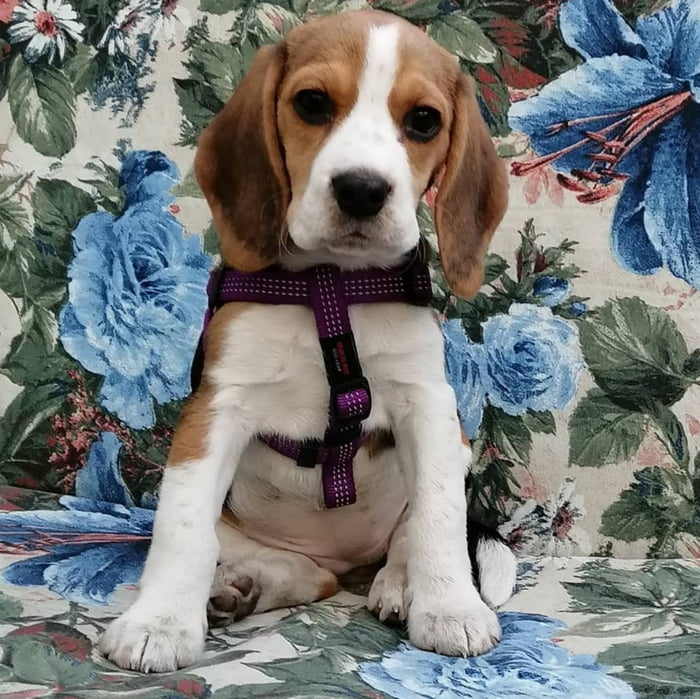 One with serious face - 9GAG