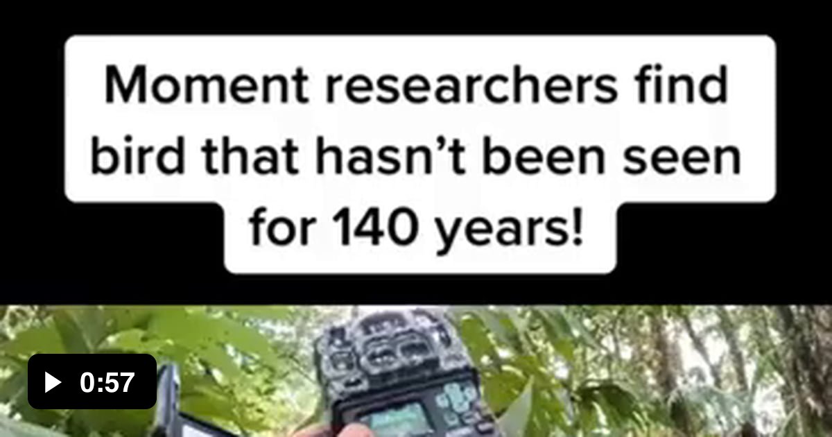 Researchers photograph bird for the first time in 140 years - 9GAG