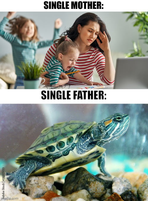 Single parent of two daughters - 9GAG