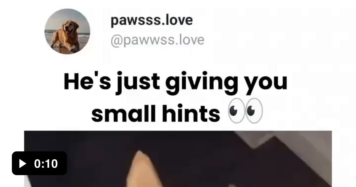 Take the hint, hooman - 9GAG