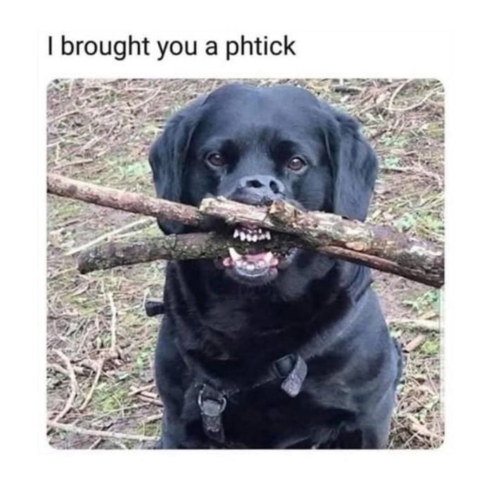 It's a nice stick - 9GAG