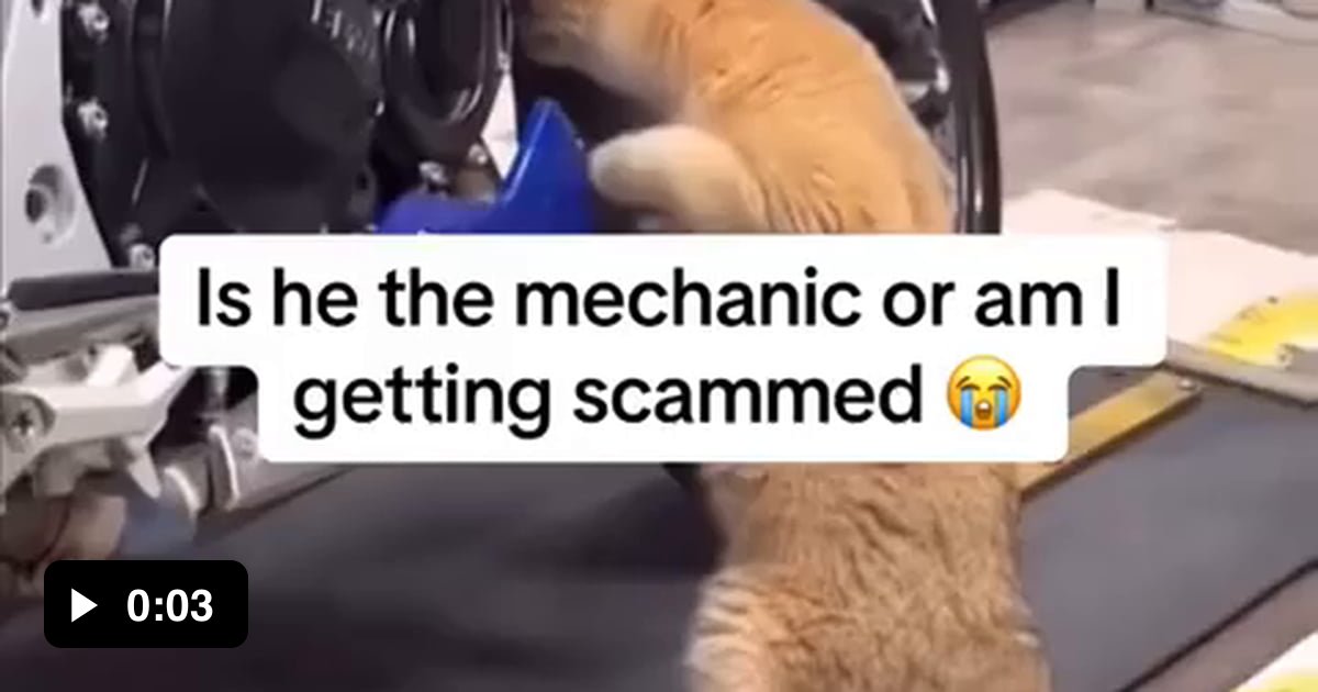 Cat Mechanic - 9GAG