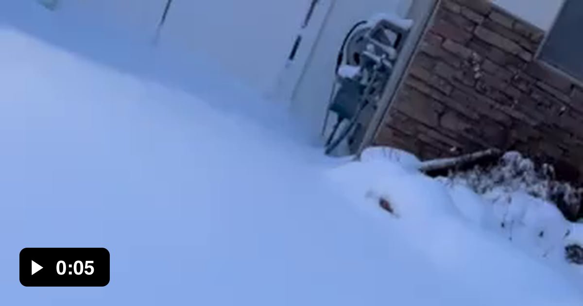 Snow swimming 🪿 ️ - 9GAG