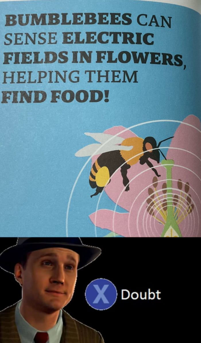 Peer review or it didn't happen meme - 9GAG